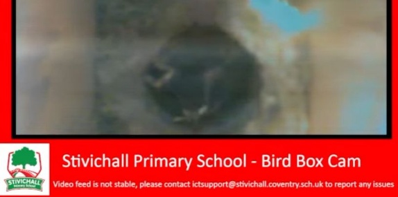 Stivichall Primary School - Home